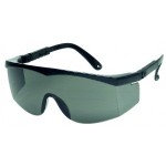 Raven Dark Safety Glasses - Raven Supply